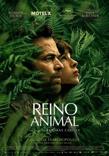 REINO ANIMAL - CinemaCity